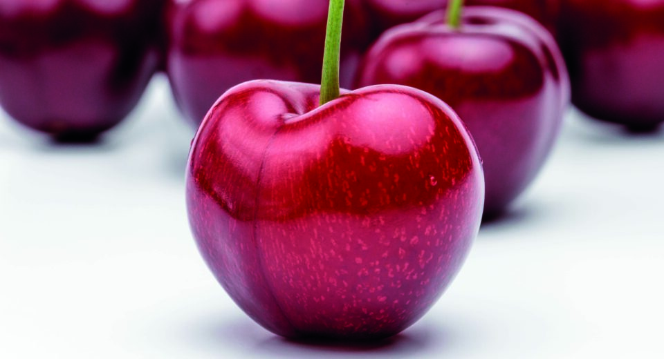 Cereza chilena: En la búsqueda de nuevas oportunidades - Vision ...