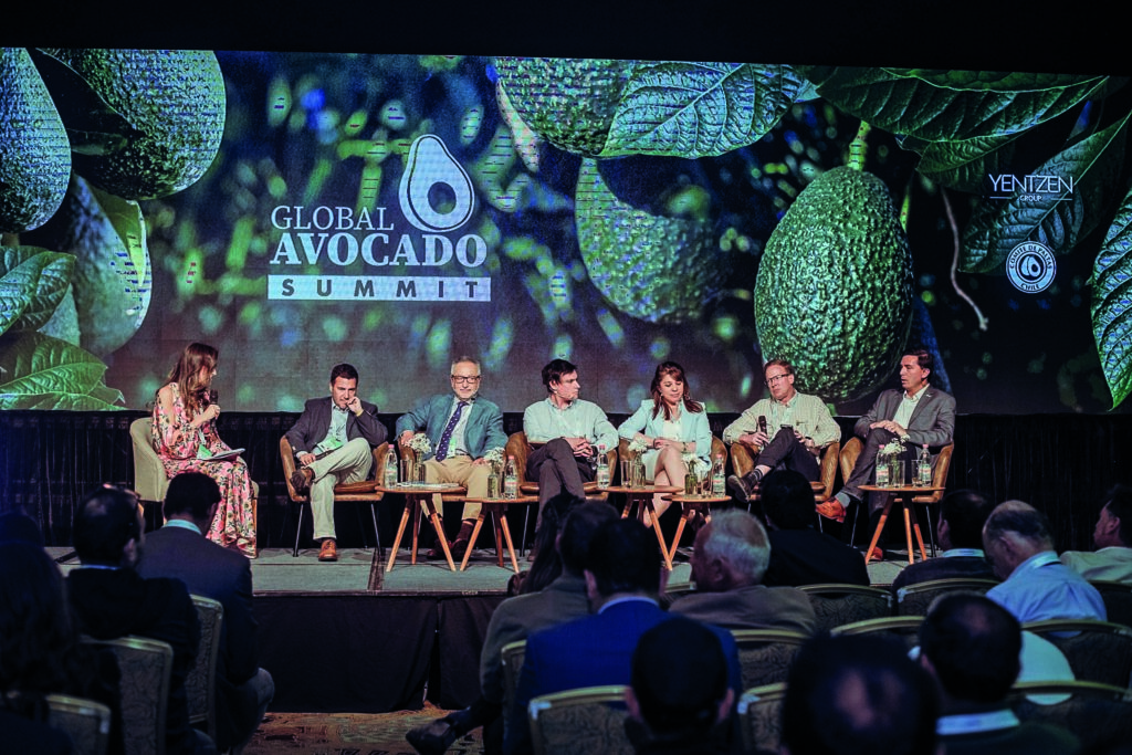 Global Avocado Summit 2024 - Vision Magazine Latinoamerica